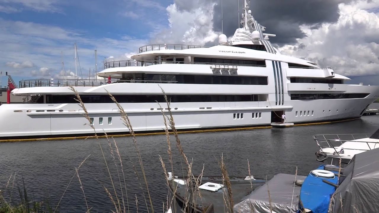 VIBRANT CURIOSITY - YouTube