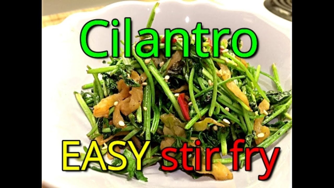 Calling for cilantro lovers !? Stir fry a whole bunch of cilantro - YouTube