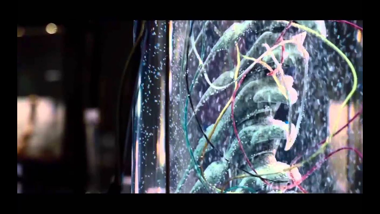 Jurassic World Official Trailer 2015 Youtube