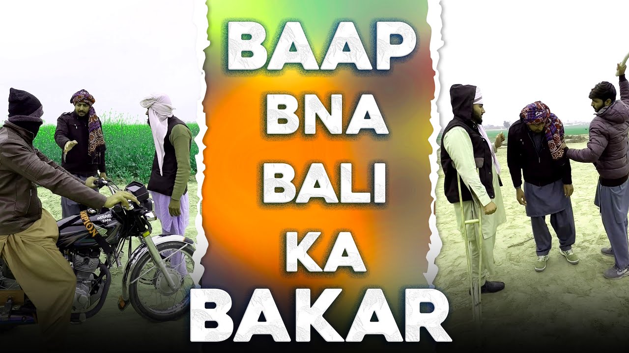 Baap Bna Bali Ka Bakra | Larky Nay Baap Ko Phansa Diya | Akz Production ...