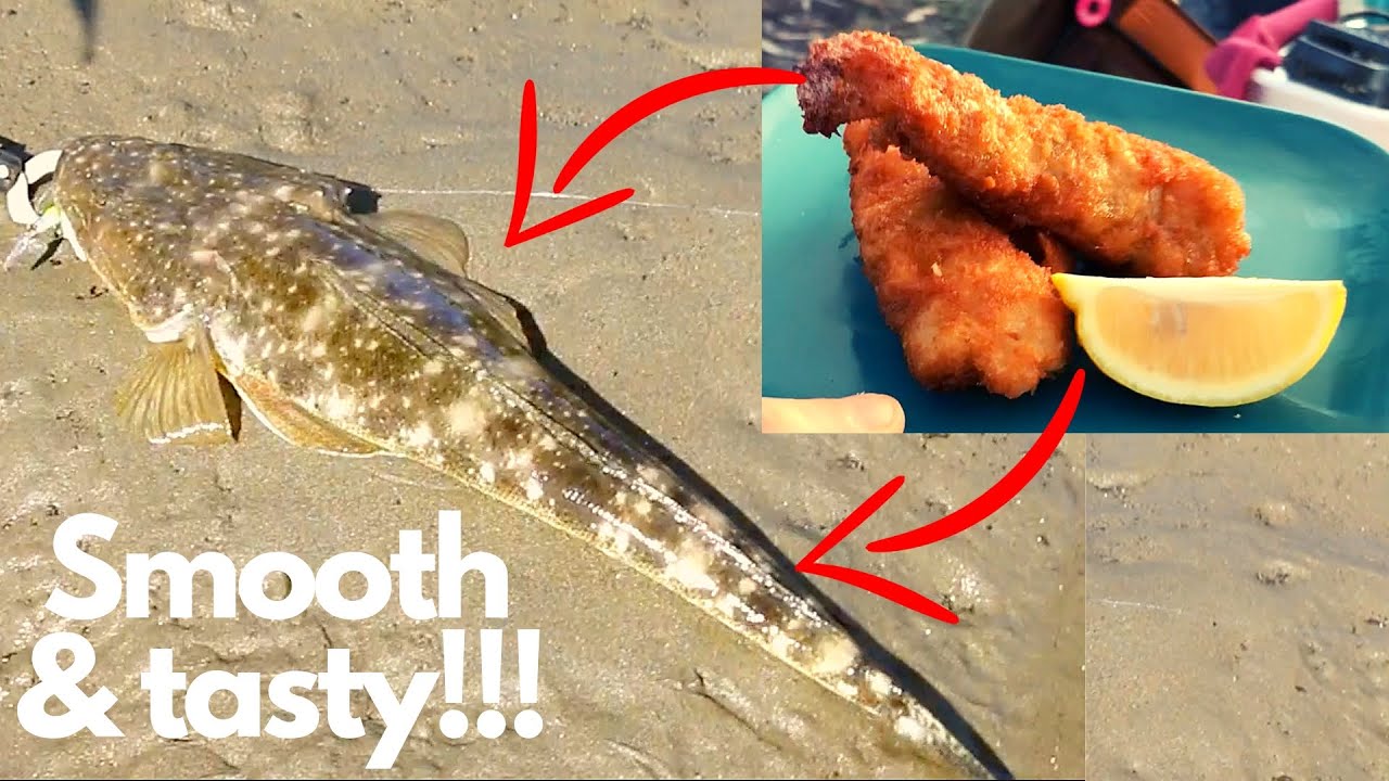 Big Flathead Catch and Cook South West Rocks. Macleay River Sand Flat ...