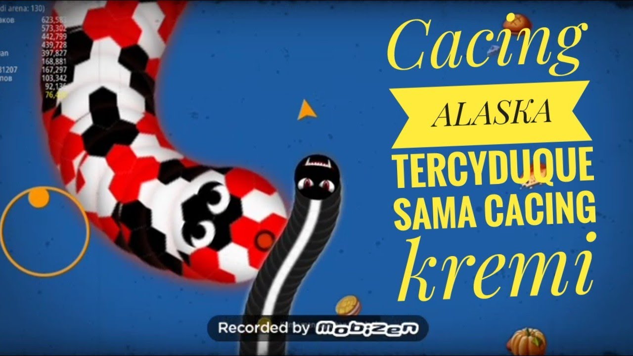 Tips & trik main cacing gaming | Cacing ALASKA tercyduks - YouTube