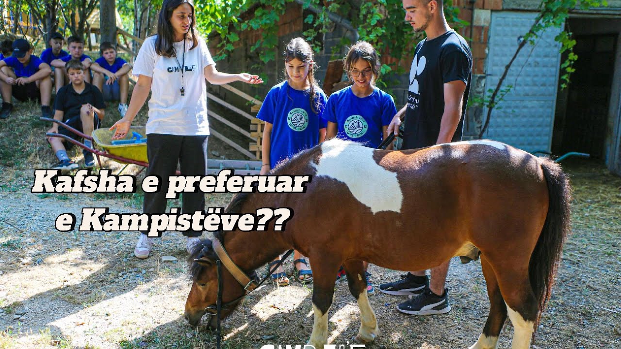 Cila është kafsha më e dashur e kampistëve në Fermën Lazdrohu? 🐶 ️ ...