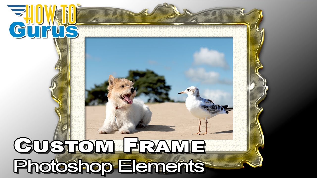 How You Can Add A Border And Frame To Photo Using Photoshop Elements How You Can Add A Border And Frame To Photo Using Photoshop Elements