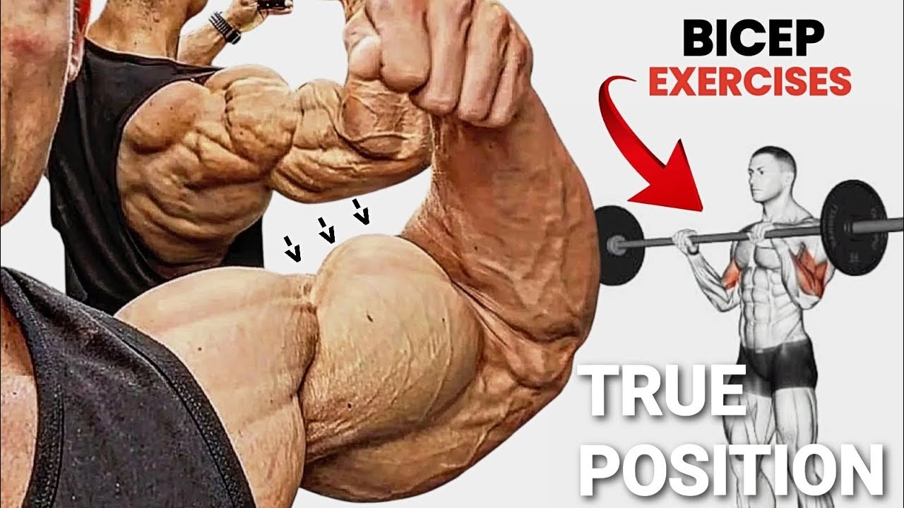 Best BICEP Exercises To Build Bigger BICEP Muscle with Dumbell, Barbell ...