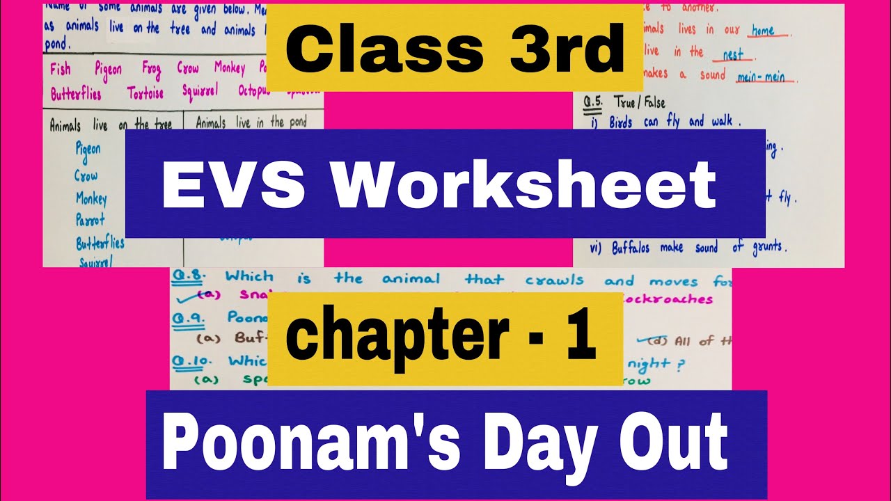 EVS worksheet class 3rd || Ncert EVS class 3rd || Chapter 1 Poonam’s ...