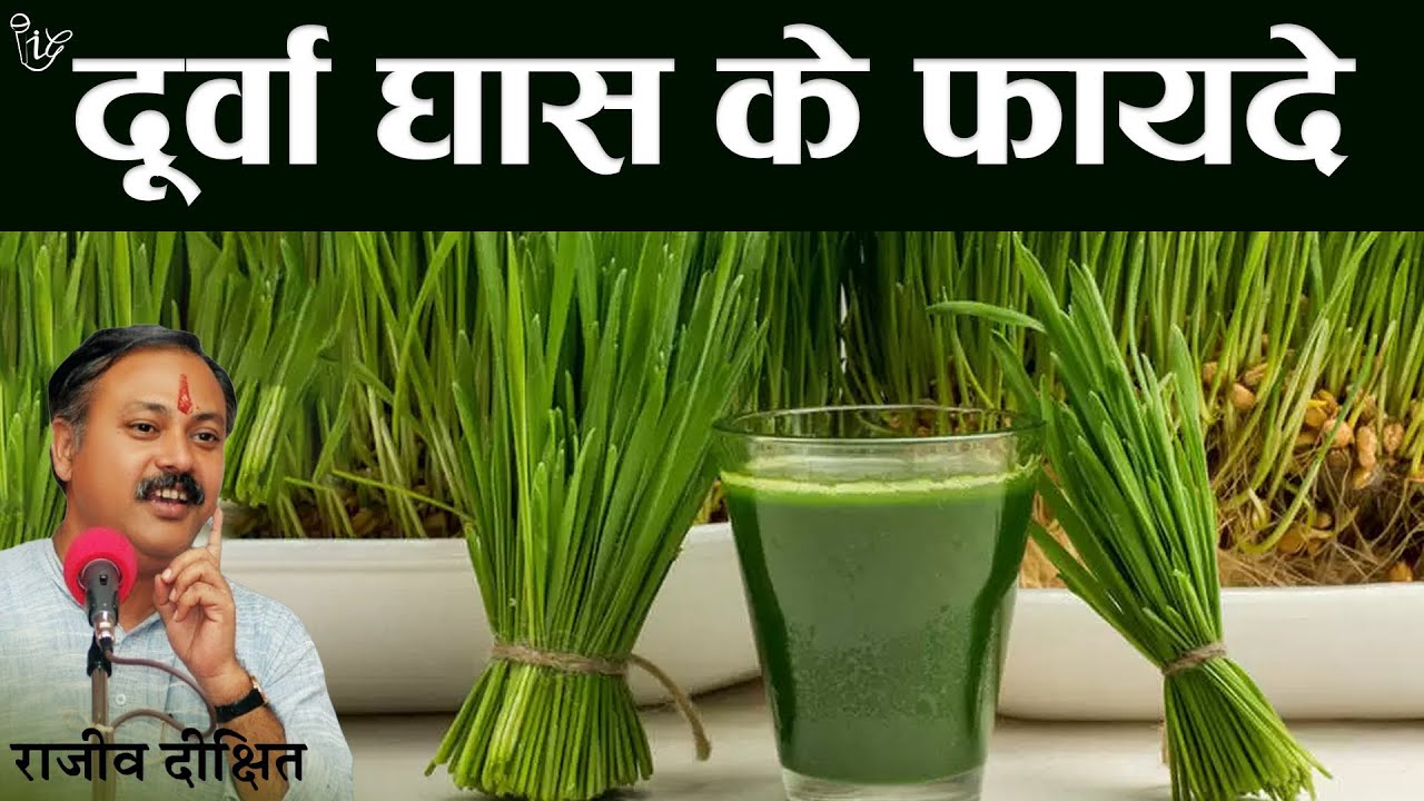 Rajiv Dixit - दूर्वा घास (दूब ) के फायदे | Health Benefits Of Durva ...