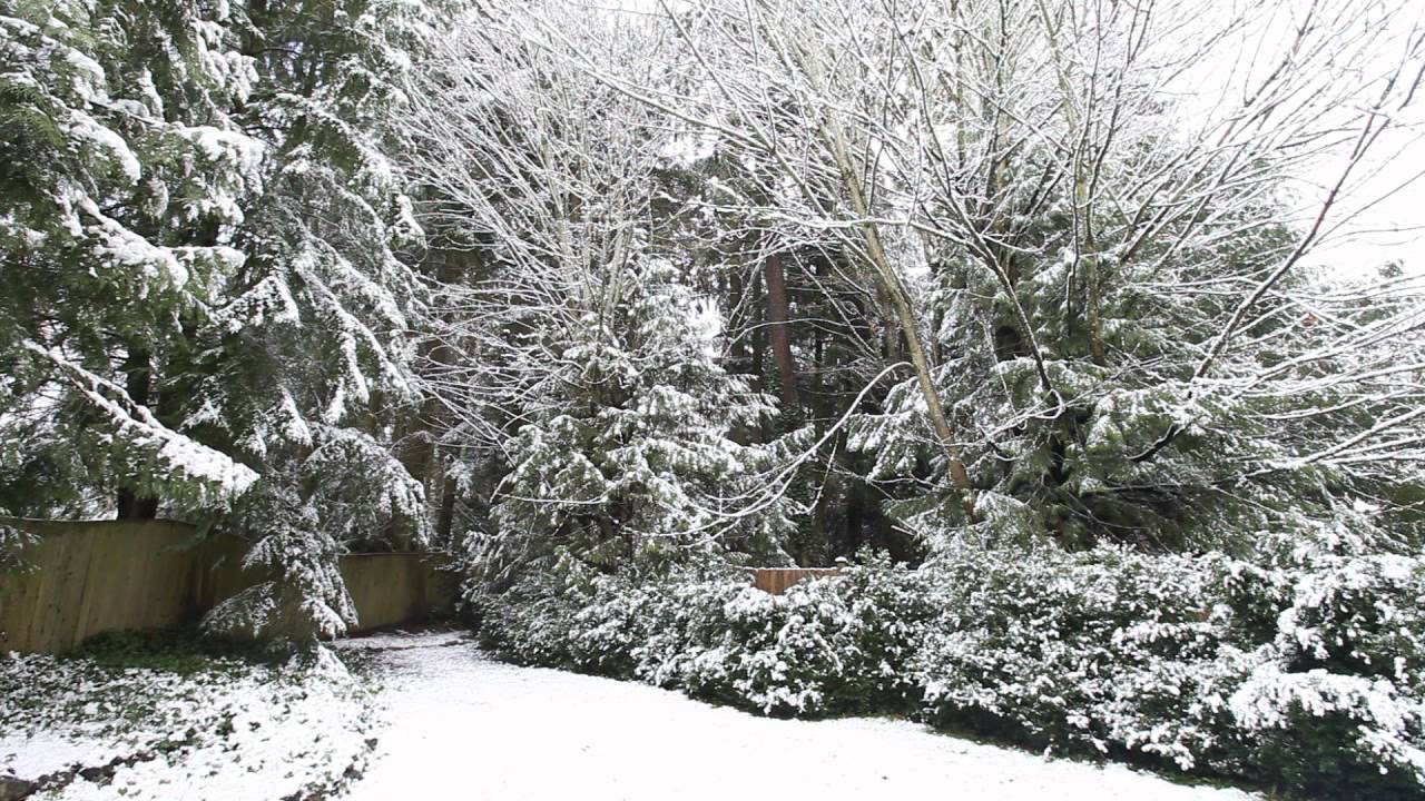 Falling Snow, Peaceful Meditation - YouTube