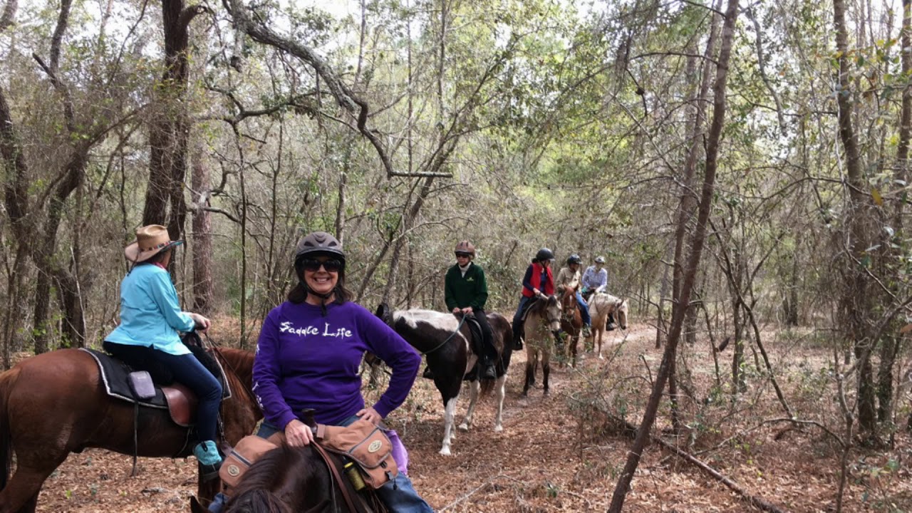 Ocala National Forest Trail Ride from Black Horse Resort Ranch - YouTube