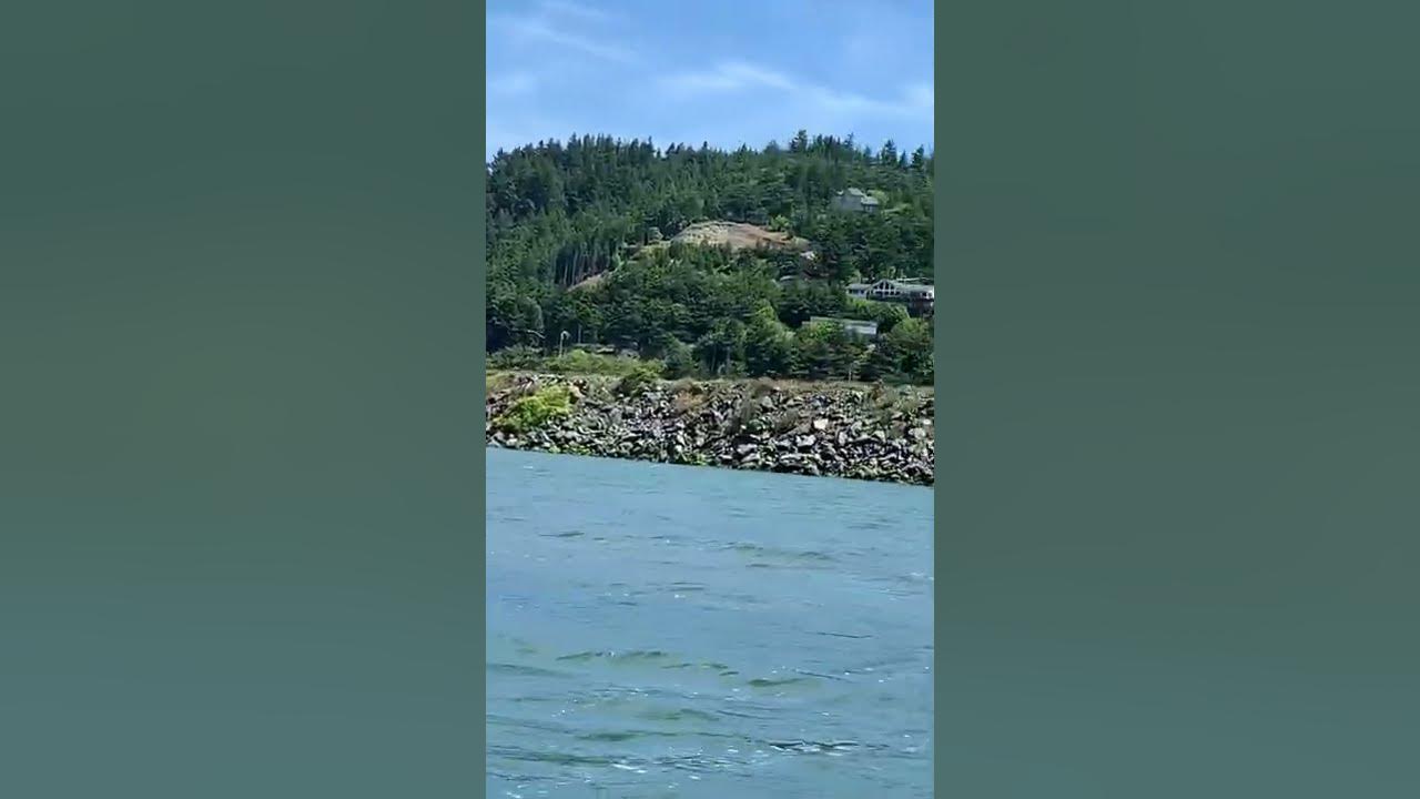 Rogue river Gold Beach Jet boat rides - YouTube