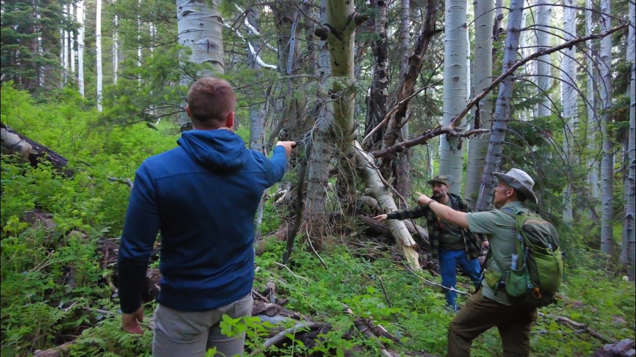 Reo & Friends Back On The Trail of Utah's Sasquatch - YouTube