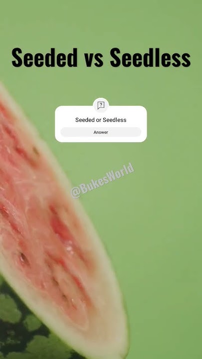 Seeded vs Seedless Watermelons #superfoods #Watermelon - YouTube