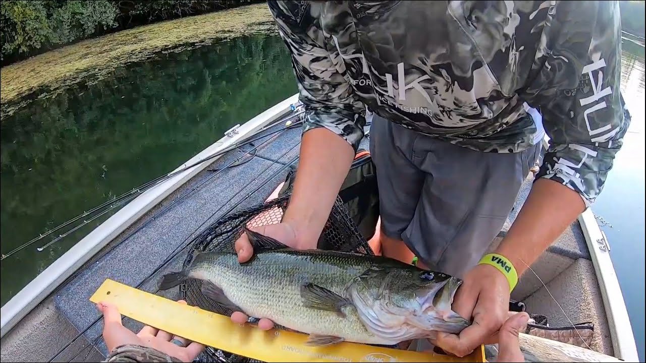 First Bass Tournament In Almost 10 Years!!! - YouTube
