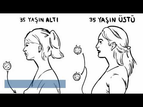 Opr. Dr. Kenan TOPÇUOĞLU - Tüp Bebek Tedavisi