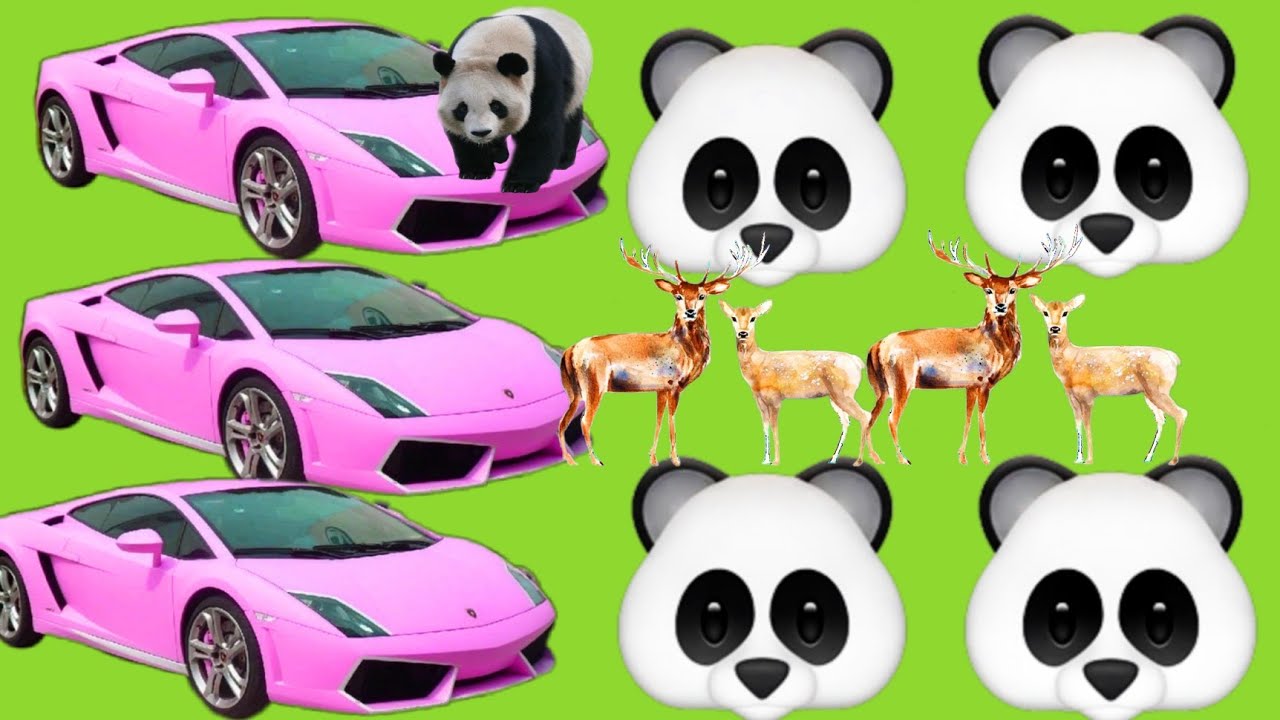 Gadi wala cartoon l panda cartoon l deer cartoon l animals cartoon,96 ...