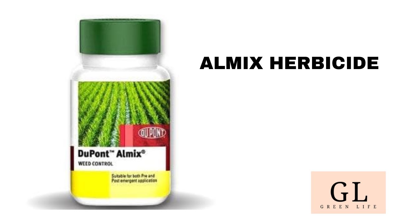 DuPont ALMIX HERBICIDE - YouTube