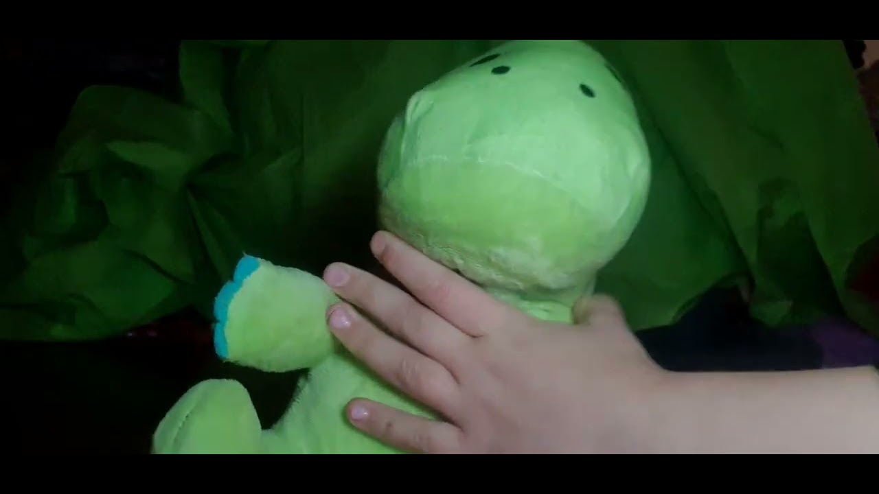 Meet my pet Pickle - YouTube