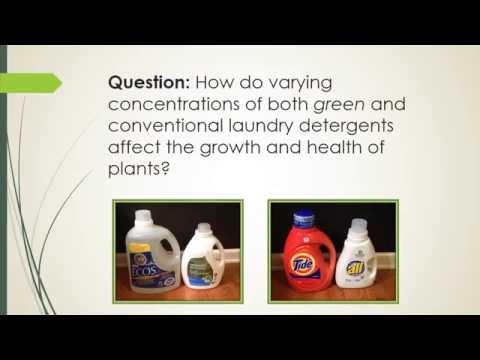 What Does Detergent Pollution Do To Planta