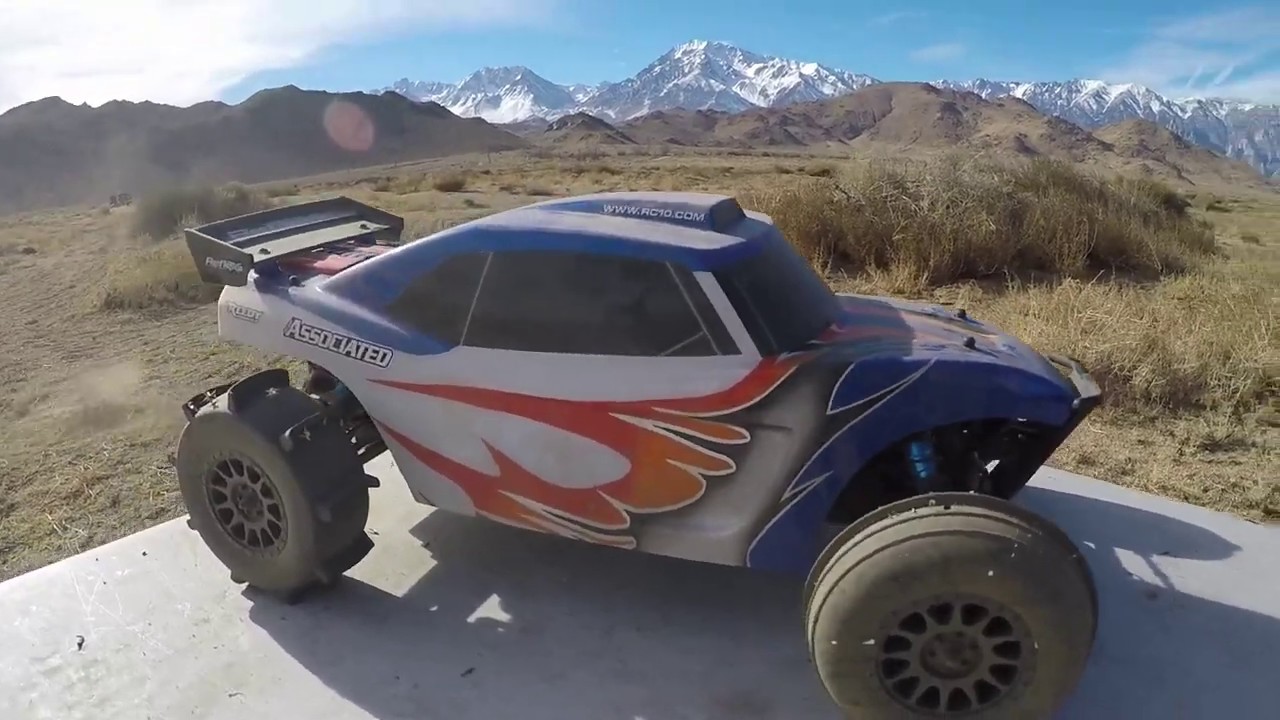 Team Associated Reflex DB10 Paddle Tire Limited Edition!:First run and ...