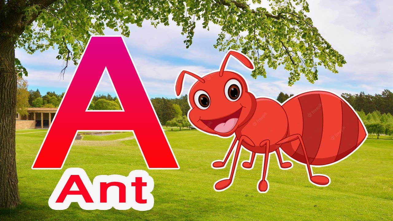 Abcd with picture and video, Best learning video for kids, Abcd ...