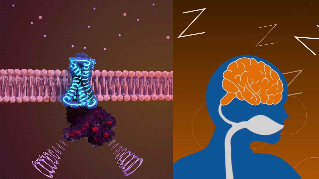 Introduction to Sosei Heptares - YouTube