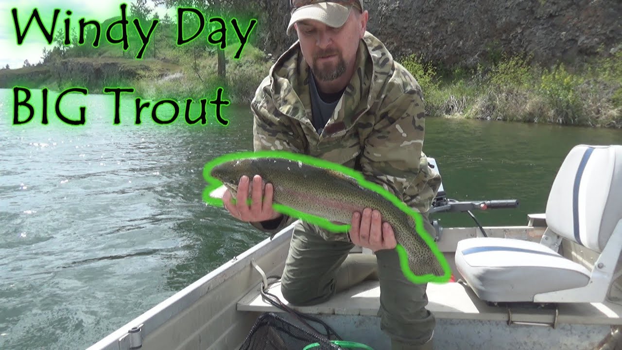 Spring trout fishing at Fishtrap Lake Wa. - YouTube