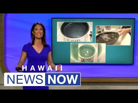 Expert analysis reveals more clues into toxic pollutants possibly ...