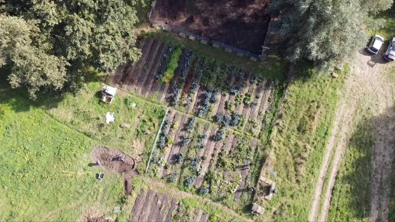 Phood Community Farm - YouTube