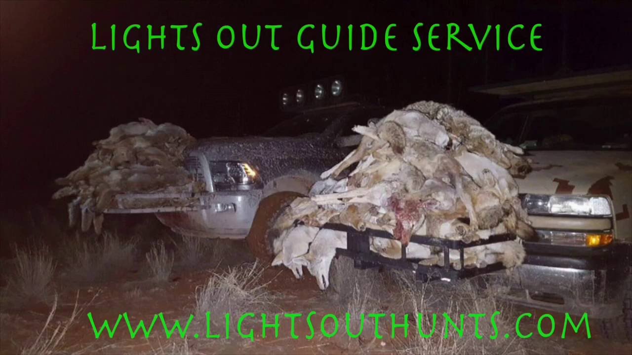 Predator Hunting at Night -- "LightsOut Guide Service" - YouTube