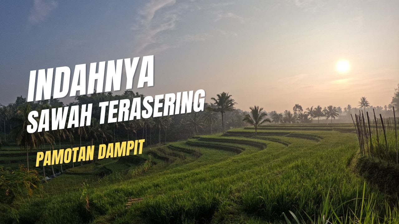 Indahnya Sawah Terasering Pamotan Dampit Kabupaten Malang - YouTube