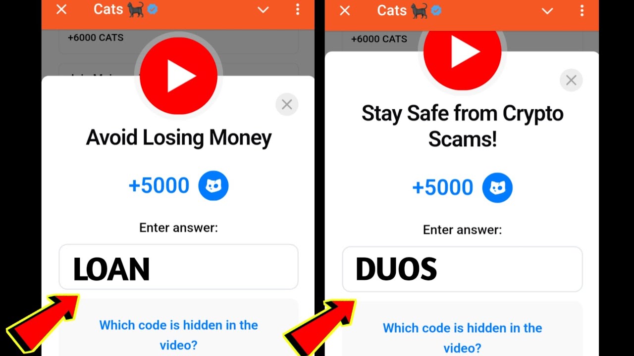 Avoid Losing Money Cats Code | Stay Safe from Crypto Scams! cats All Video Codes Today - YouTube