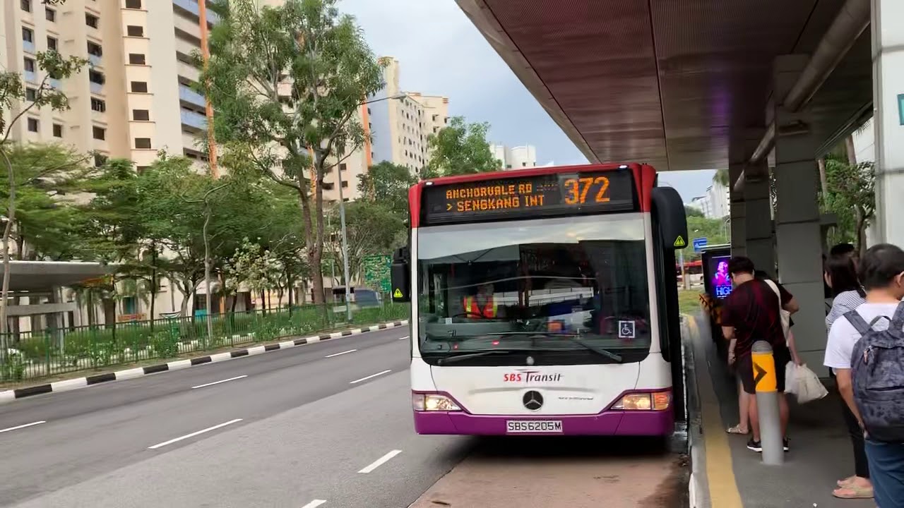 SBS Transit Mercedes-Benz O530 Citaro (Batch 1) SBS6205M on Feeder 372 ...