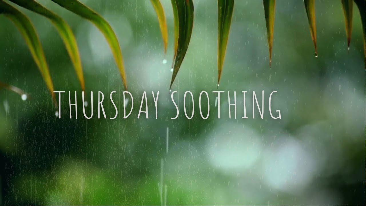 No Ads Thursday Peaceful: Relaxing Piano Music & Gentle Rain Sounds for ...