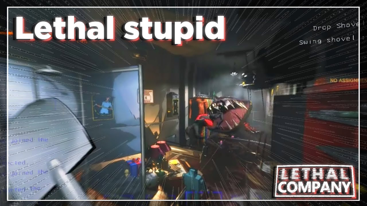Lethal stupid - YouTube