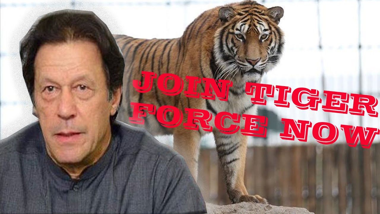 HOW TO APPLY FOR CORONA RELIEF TIGER FORCE!!! MUST WATCH - YouTube