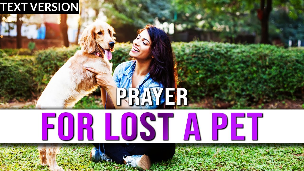 Prayer For Lost Pet | Prayer For A Lost Animal | Prayer For Lost Pet To ...