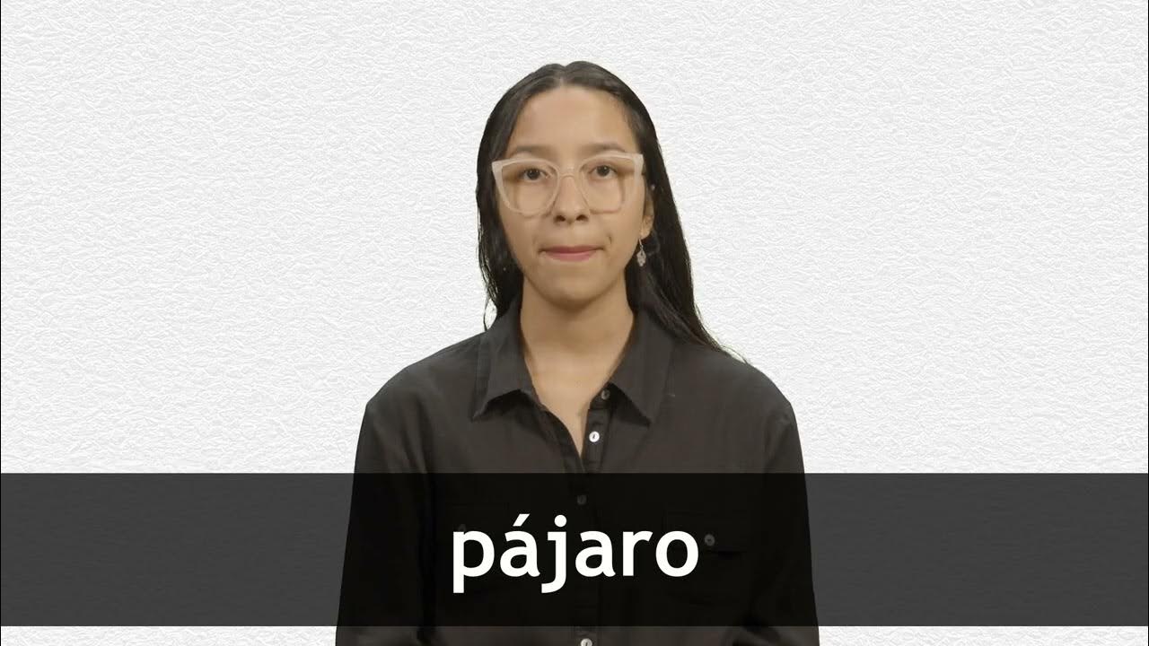 How to pronounce PÁJARO in Latin American Spanish - YouTube