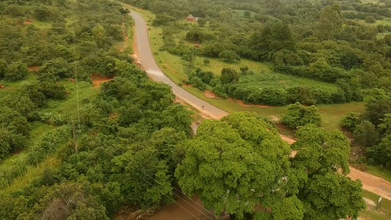 chigodora - YouTube