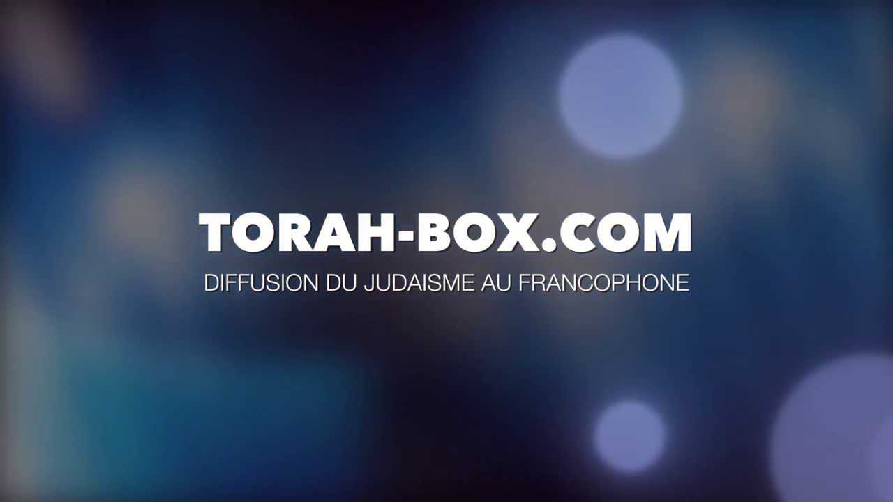 logo torah box - YouTube