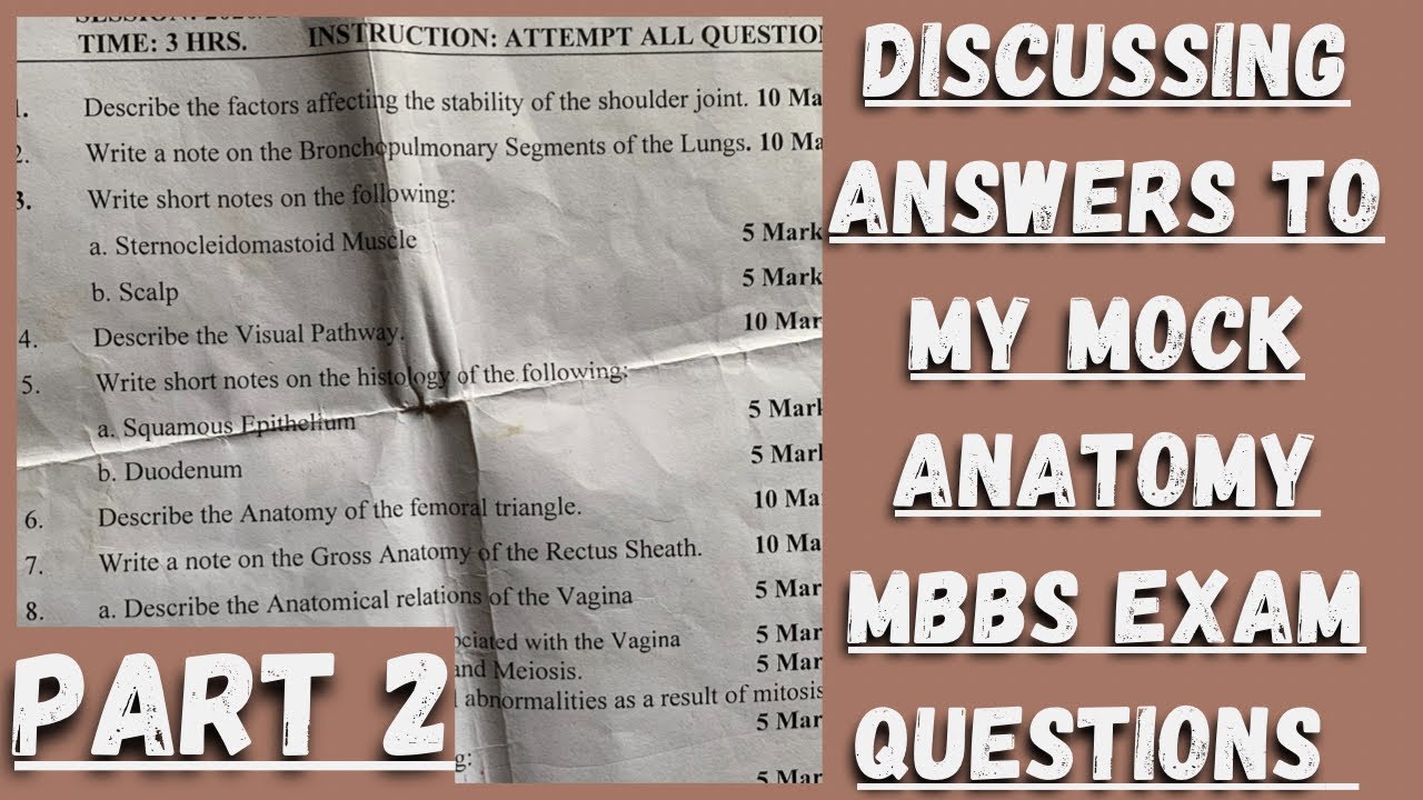 (PART 2) MY MOCK MBBS EXAM ANATOMY QUESTION PAPER||Let's discuss the answers!! - YouTube