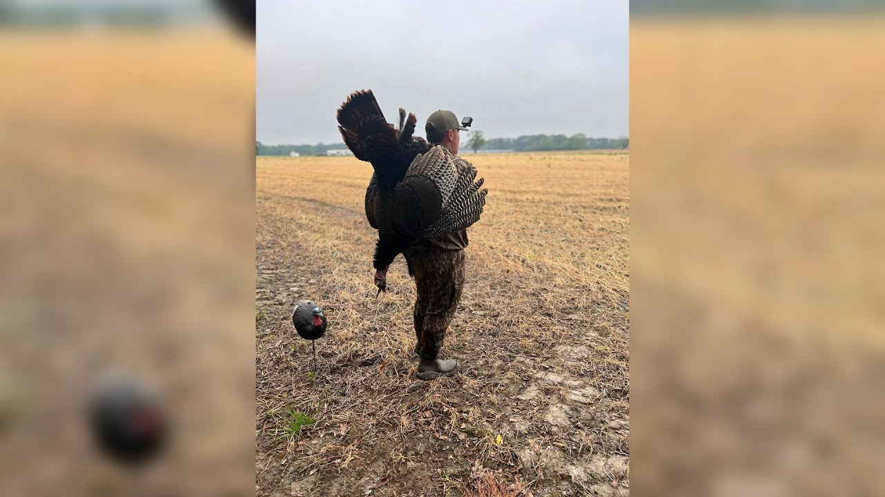 Wild Turkey Cleaning Tutorial: From Field to Table - YouTube