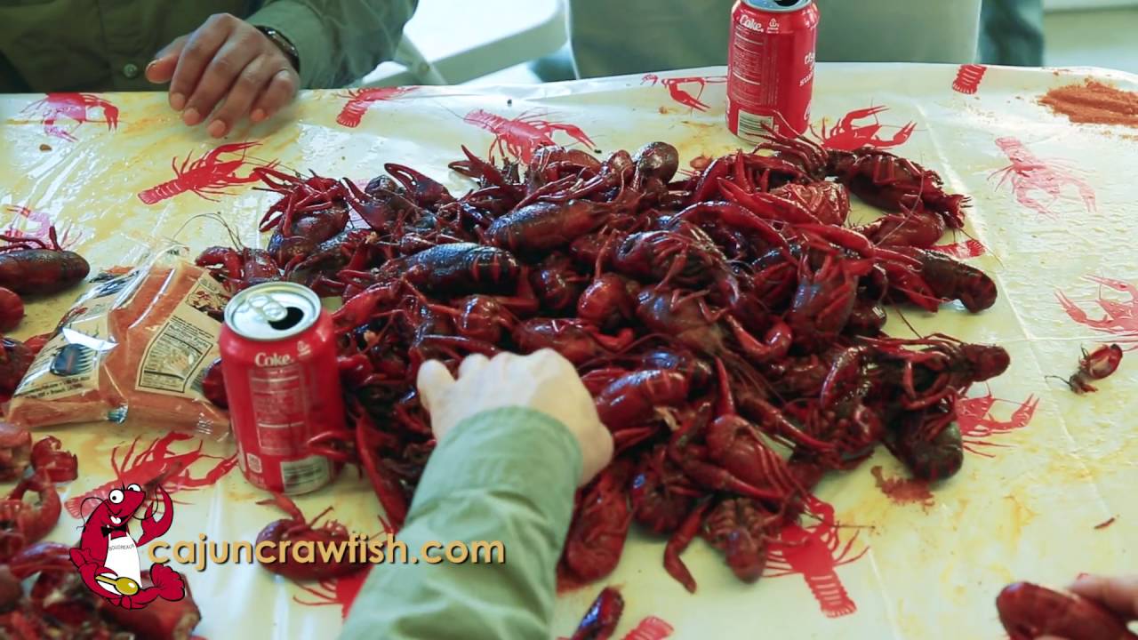 Fruge Farms 60 sec - YouTube