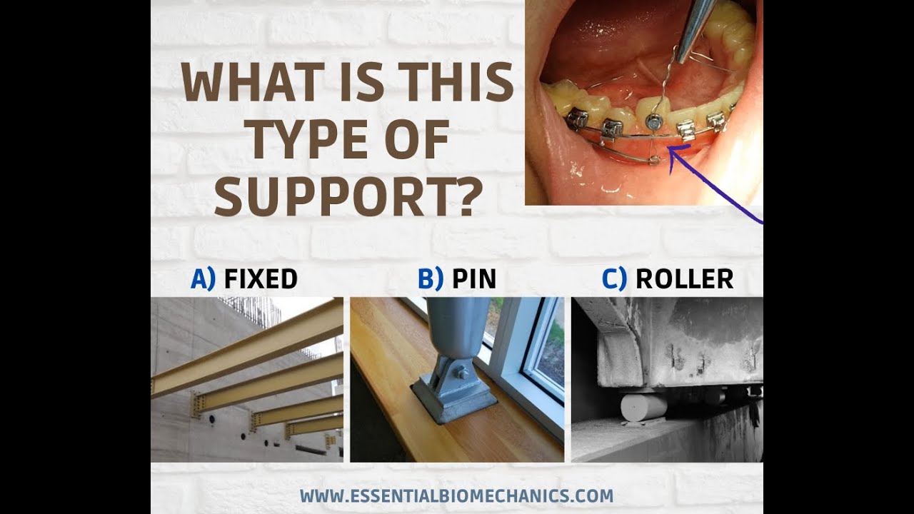Types of Supports | Essential Biomechanics - YouTube