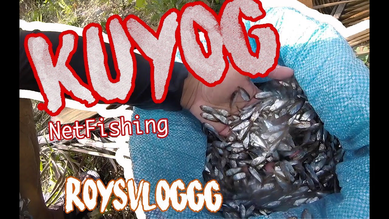 Kuyog Net Fishing - YouTube