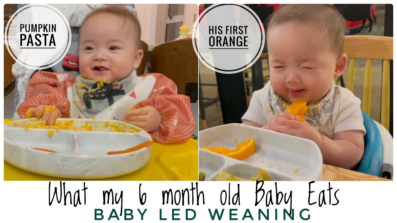 Zeus Eats | His First Orange, Pumpkin Sauce Pasta | BabyLedWeaning 6 ...