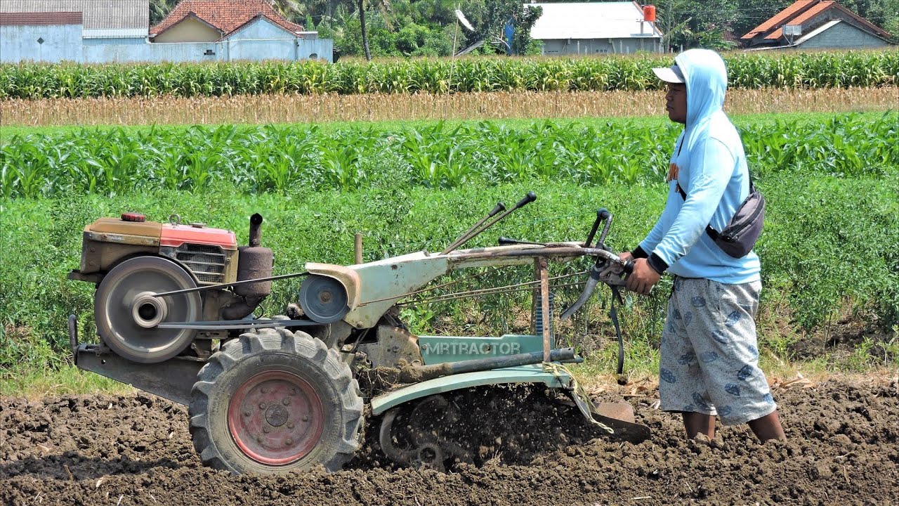 Traktor Rotari Membajak Lahan Kering - YouTube
