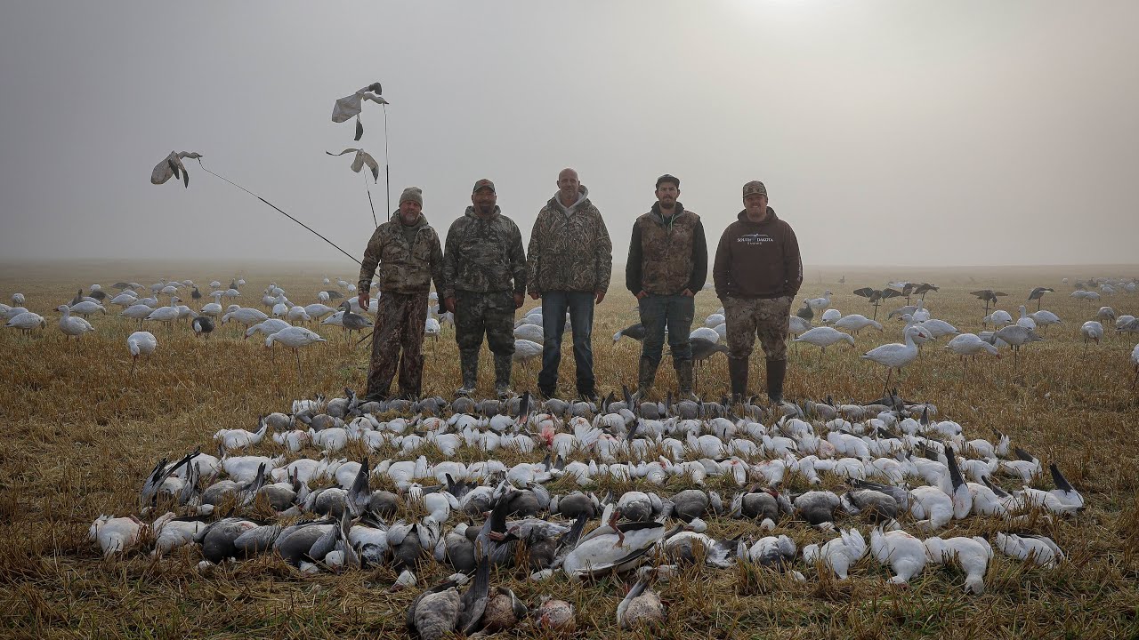 Hunting snow geese in the fog (2 Bands) - YouTube