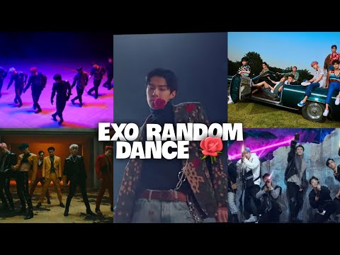 EXO RANDOM DANCE CHALLENGE | K-POP RANDOM
