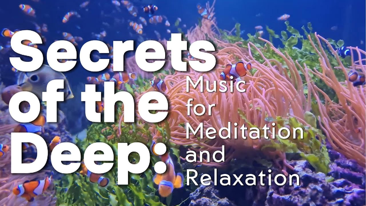 Secrets of the Deep: Music for Meditation and Relaxation - YouTube