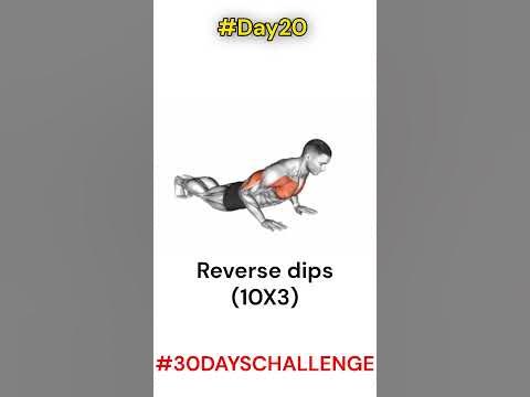 Day 20 - 30-Day Workout Challenge | Gym at Your Home 🏡💪 | Full Body Power-Up - YouTube